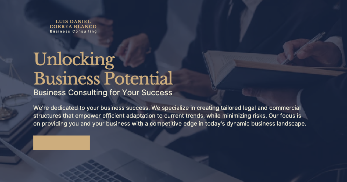 Luis Correa Business Consulting